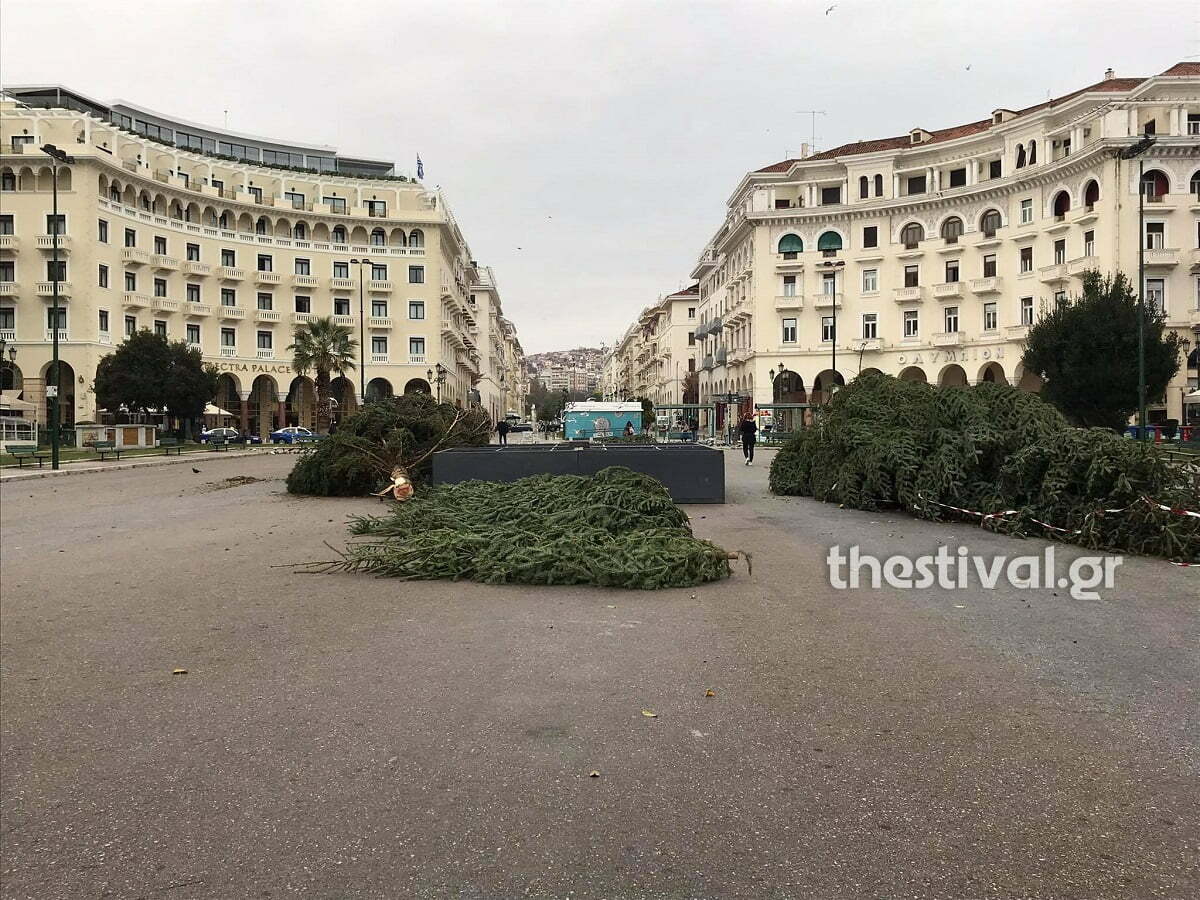 Θεσσαλονίκη: Έφτασαν τα χριστουγεννιάτικα δέντρα που θα στολίσουν την ...