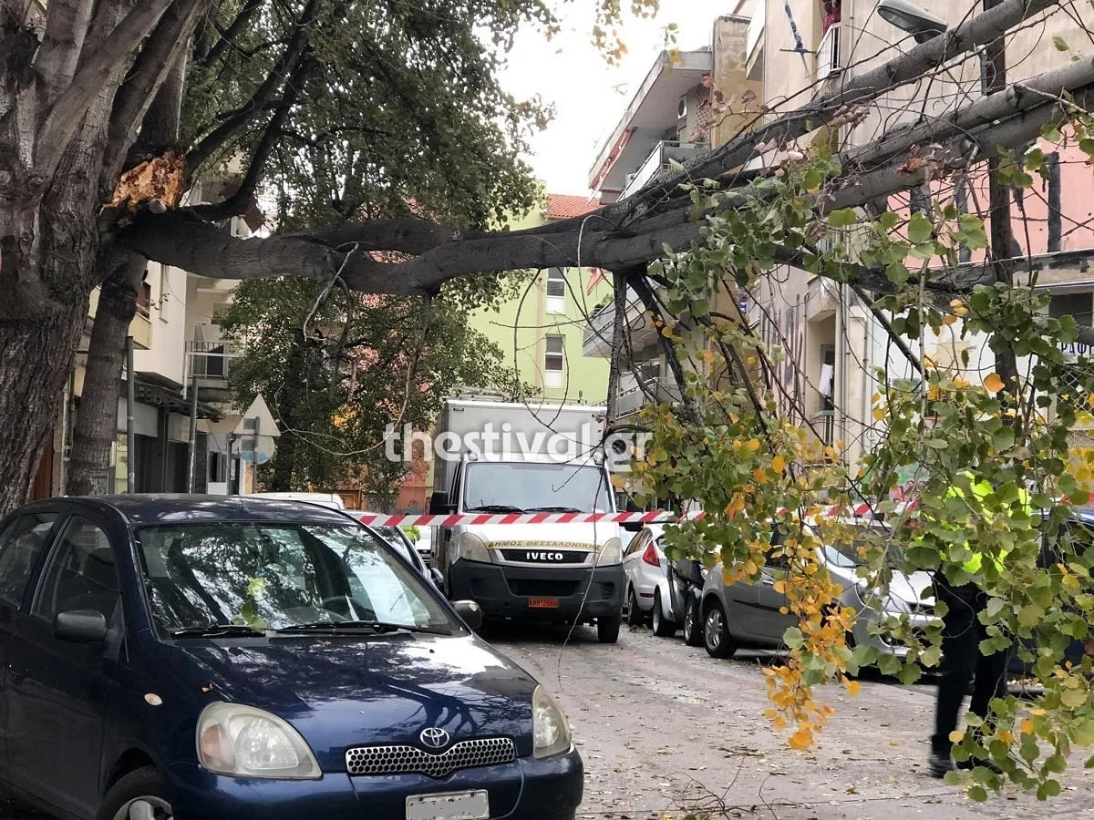 Θεσσαλονίκη: Πτώσεις δέντρων λόγω των ισχυρών ανέμων – Φθορές σε ...