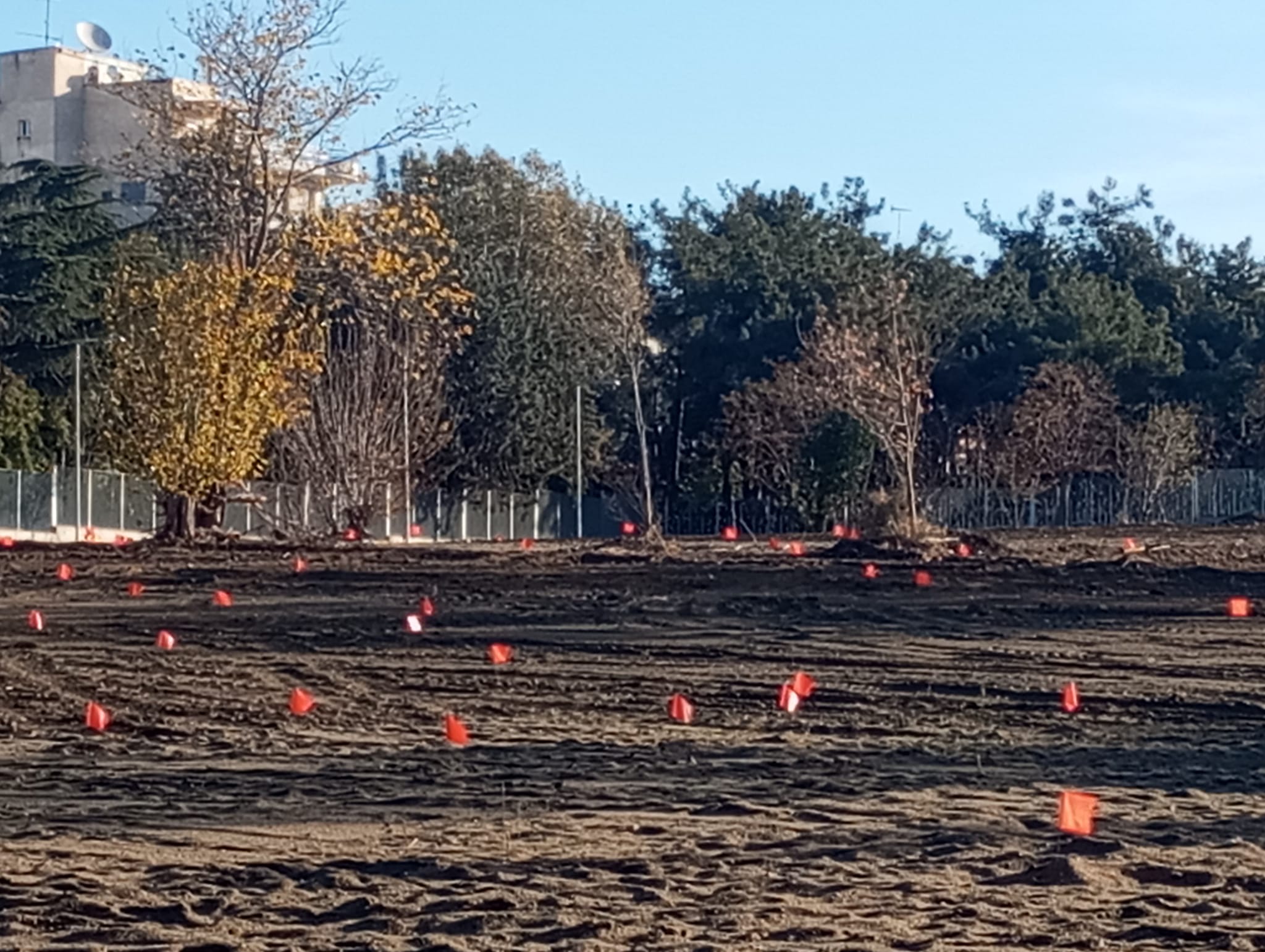 Ξεκινούν οι φυτεύσεις 10.000 δέντρων στο Μητροπολιτικό Πάρκο Παύλου ...